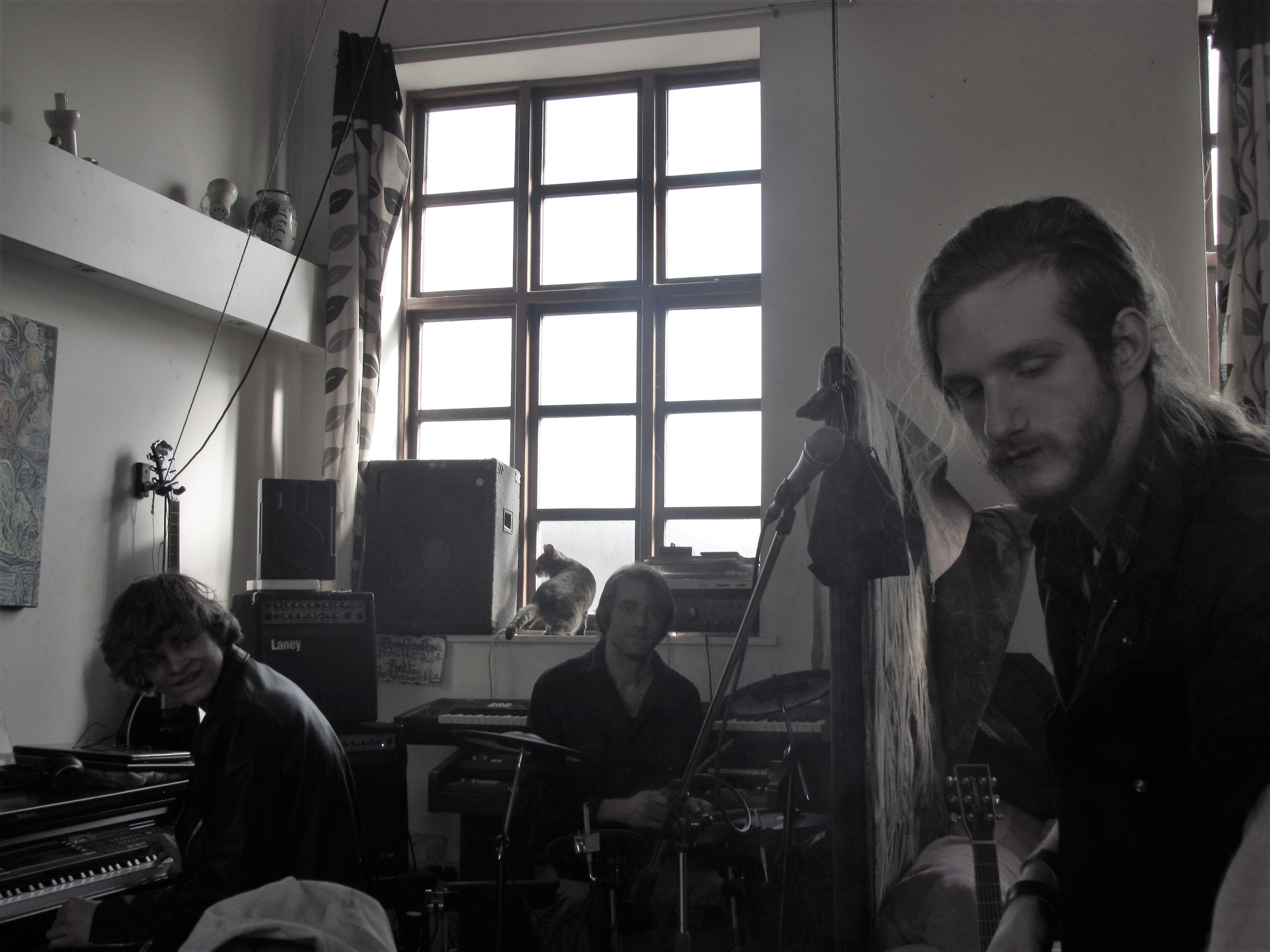 Bookings – Temperance Music & Arts Co-op